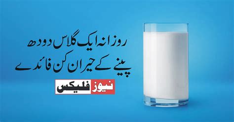 سائنسدان روزانہ ایک گلاس دودھ پینے کا حیران کن فائدہ سامنے لے آئے Newzflex