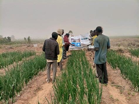 Amina Ado On Linkedin Agribusiness Knowledgesharing