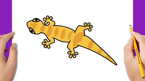 How To Draw A Gecko Lizard Easy Youtube