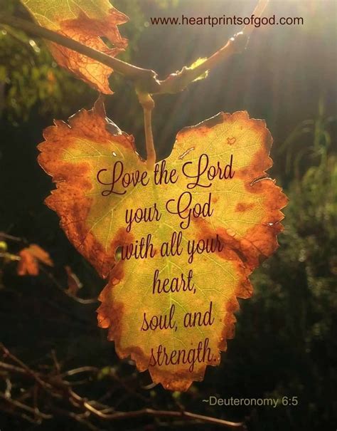 Pin By Lisa Davidson On Amazing Grace Fall Bible Verses Bible Quotes