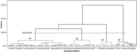 Dendrogram Of Diffrent Characters By Wards Method In 66 Bread Wheat