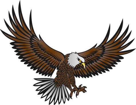 Eagle Sports Logo Pngs For Free Download