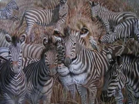 What Do You See In These Images