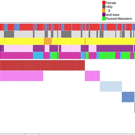 Reptilian Limbic Brain And Neocortex Download Scientific Diagram
