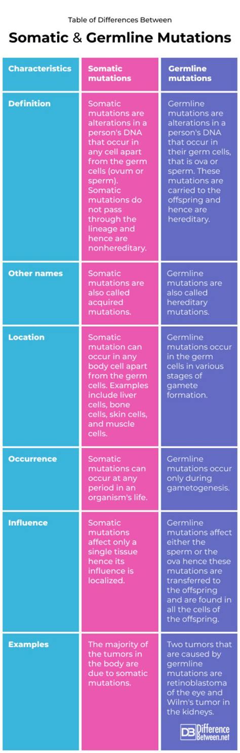 Difference Between Somatic And Germline Mutations Difference Between