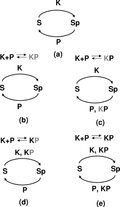Reactions Diagrams A Reaction Diagram For The Basic Model Of