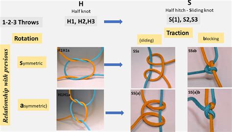 Types Of Knots Surgery At Dakota Bunce Blog