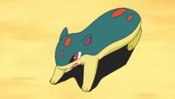 Quilava Pokémon Bulbapedia The Community Driven Pokémon Encyclopedia