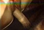 Taija Rae Page 43 Vintage Erotica Forums