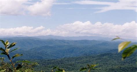 Ppt Landscape Ecosystem Perspective 1 Background On Ecosystem