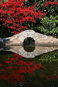 植物园红高清图图片高清摄影大图 千库网