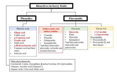 Bioactive Compounds In Berry Bioactive Compounds Peculiar To