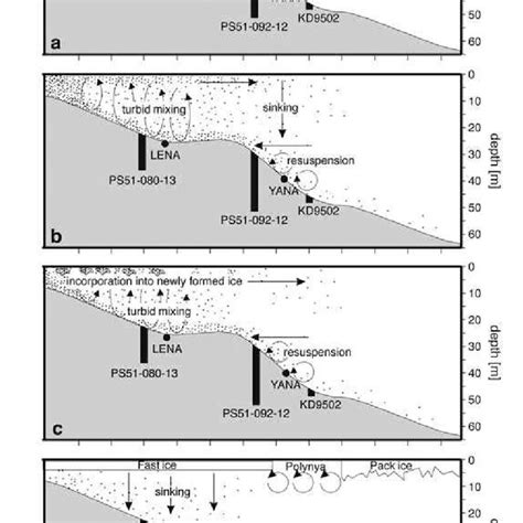 Schematic Overview Of Sediment Transport Dynamics On An Ns Transect Download Scientific Diagram