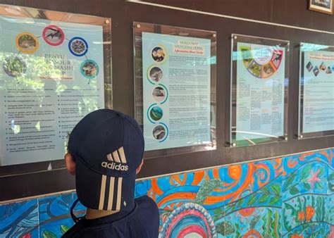 Penang Turtle Conservation Centre How To Get There And What To Expect