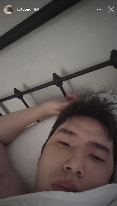 코뚱잉 인스타스토리 숲soop 에펨코리아