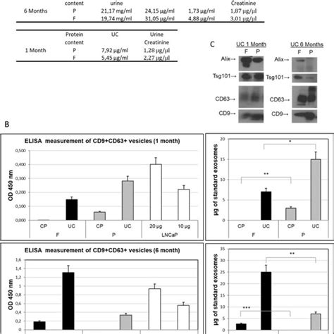 Quantitative Analysis Of Evs Protein Content Evs Were Purified From