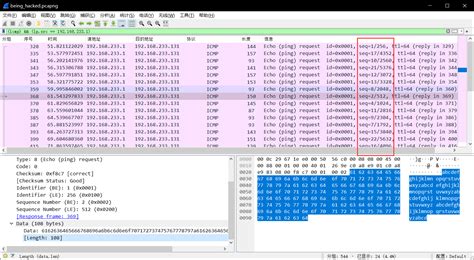 工控ctf之协议分析8——特殊隧道ctf Dns隧道 Csdn博客