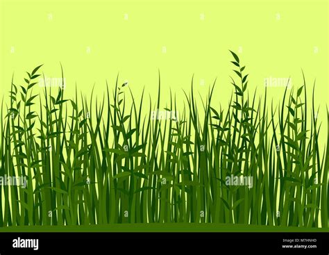 Grass And Leaves Seamless Stock Vector Image And Art Alamy