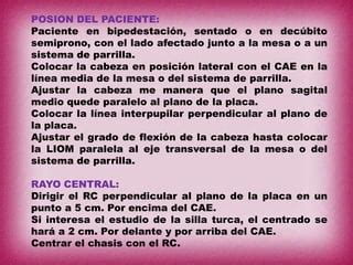 Proyecciones Del Craneo Pptx