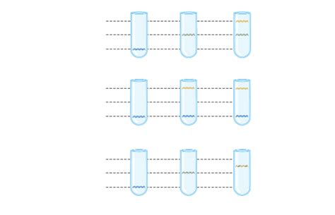 Solved Messelsohn Stahl Experiment Cscl Gradient