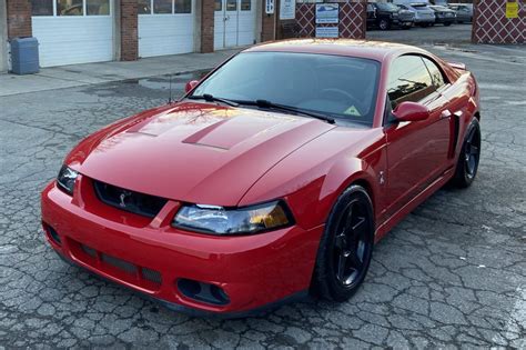 53l Powered 2004 Ford Mustang Svt Cobra Coupe For Sale On Bat Auctions