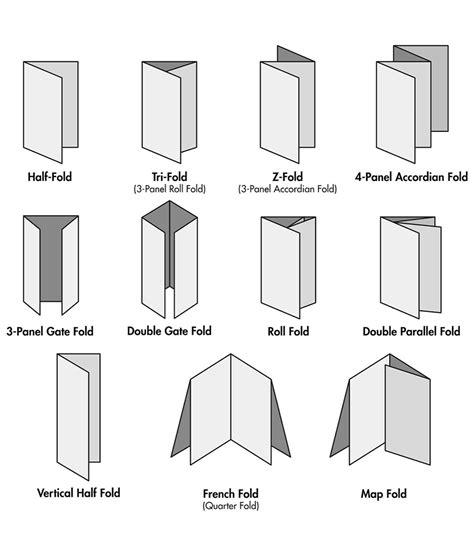 Structure Of A Leaflet