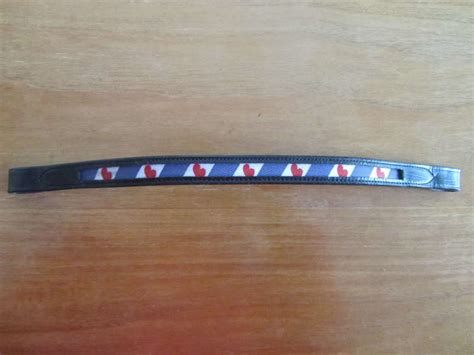 Fries Halster En Friese Frontriem Bokt Nl