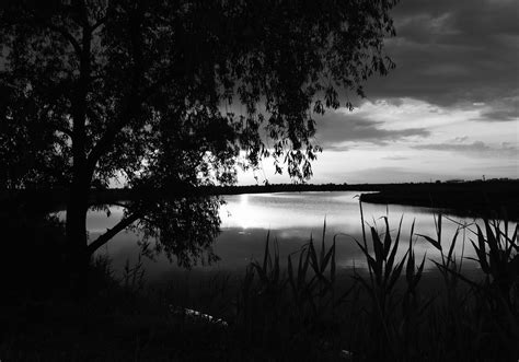 Untitled Natalie Polyakova Flickr