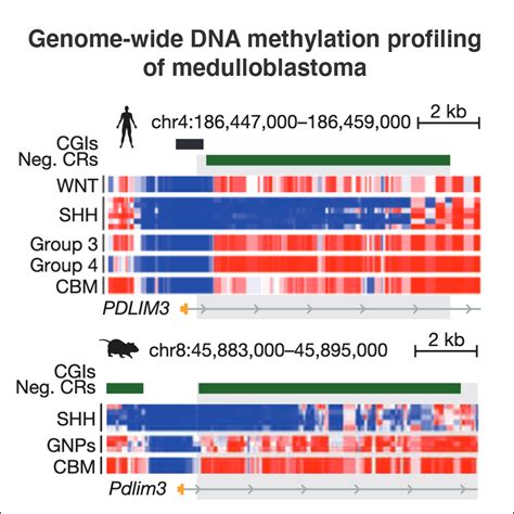 Hovestadt Lab Publications