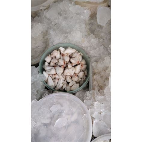 Jual Daging Rajungan Kupas Jumbo Jus Shopee Indonesia