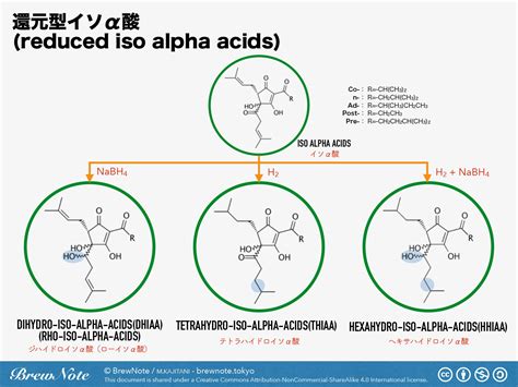 α酸とβ酸の化学 BrewNote