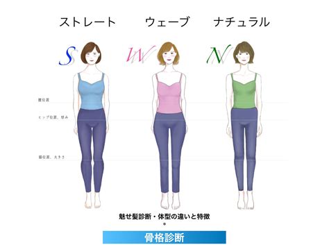 【骨格診断 ストレート ウェーブ ナチュラル】似合わせカットのポイント 【東京 文京区 千駄木 根津】大人女性が本当に似合うヘアスタイルに
