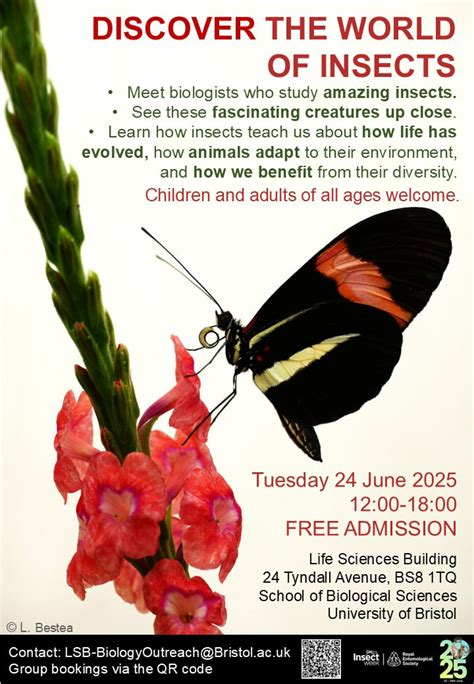 Bristol Entomology Research Network Insect Week