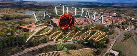La Última Pasión Sonic The Hedgehog Cinematic Universe Wiki Fandom