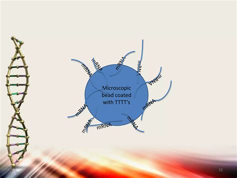 Sage Serial Analysis Of Gene Expression Pptx