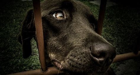 The Other Side Of Fundamental Attribution Errors