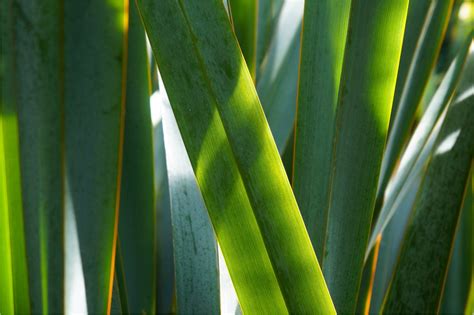 Sir Paul Callaghan 100 Report Callaghan Innovation Sir Paul Callaghan 100 Report Callaghan Innovation