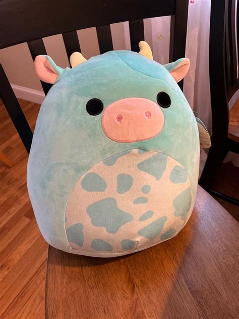 Hes Finally Here I Love Him So Much 🥰 R Squishmallow