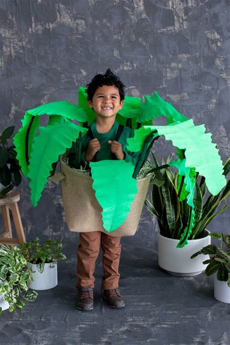12 Unique Diy Plant Costume Ideas For Halloween Diyscraftsy