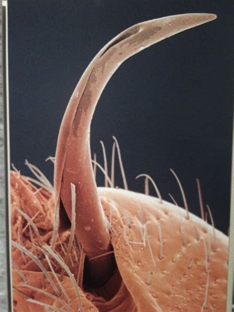 What I Learned At The Museum Of Sex Nyc Joan Price