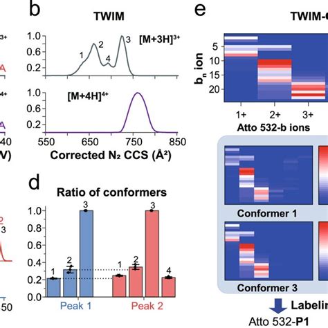 Conformational Characterization Of A Mixture Of Dye Labeled Peptide