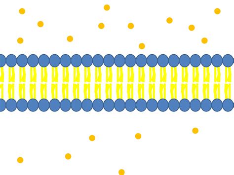 Esquema Difusion Simple Pptx