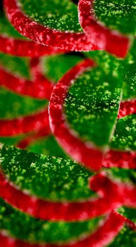 Candy Finished Projects Blender Artists Community