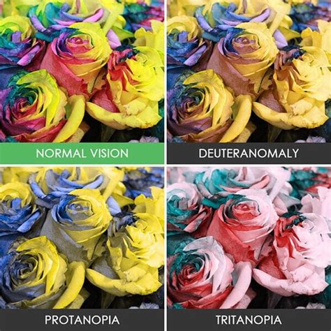 These Photos Show What It Looks Like To Be Colorblind Freeyork