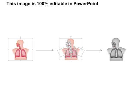 Respiratory System Medical Images For PowerPoint Graphics Presentation Background For