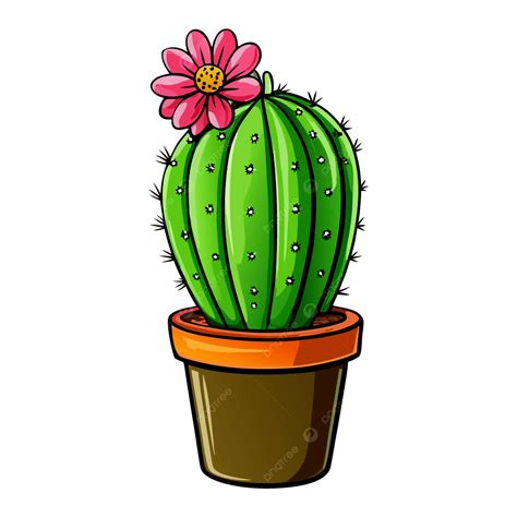 Immagini Clipart Cactus