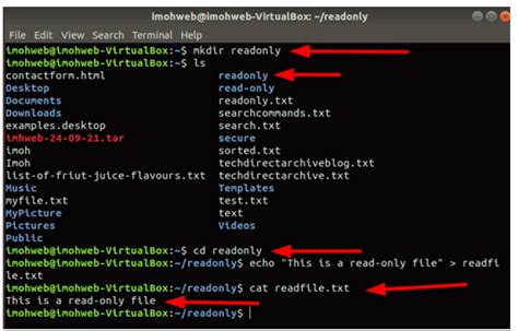 How To Save Read Only Files In Vim Editor In Linuxunix Like Os Techdirectarchive