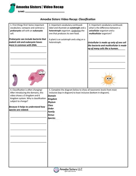 Videorecapofclassification2222222pdf