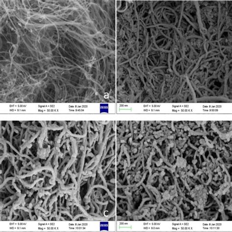 The Schematic Of The Developed Quechers Method Download Scientific