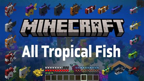 All The Tropical Fish In Minecraft Tutorial Youtube